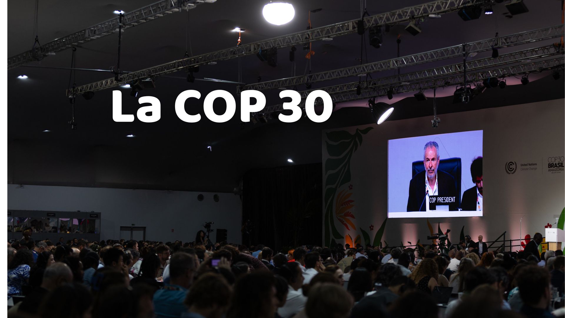 La COP 30 : DIAG26000